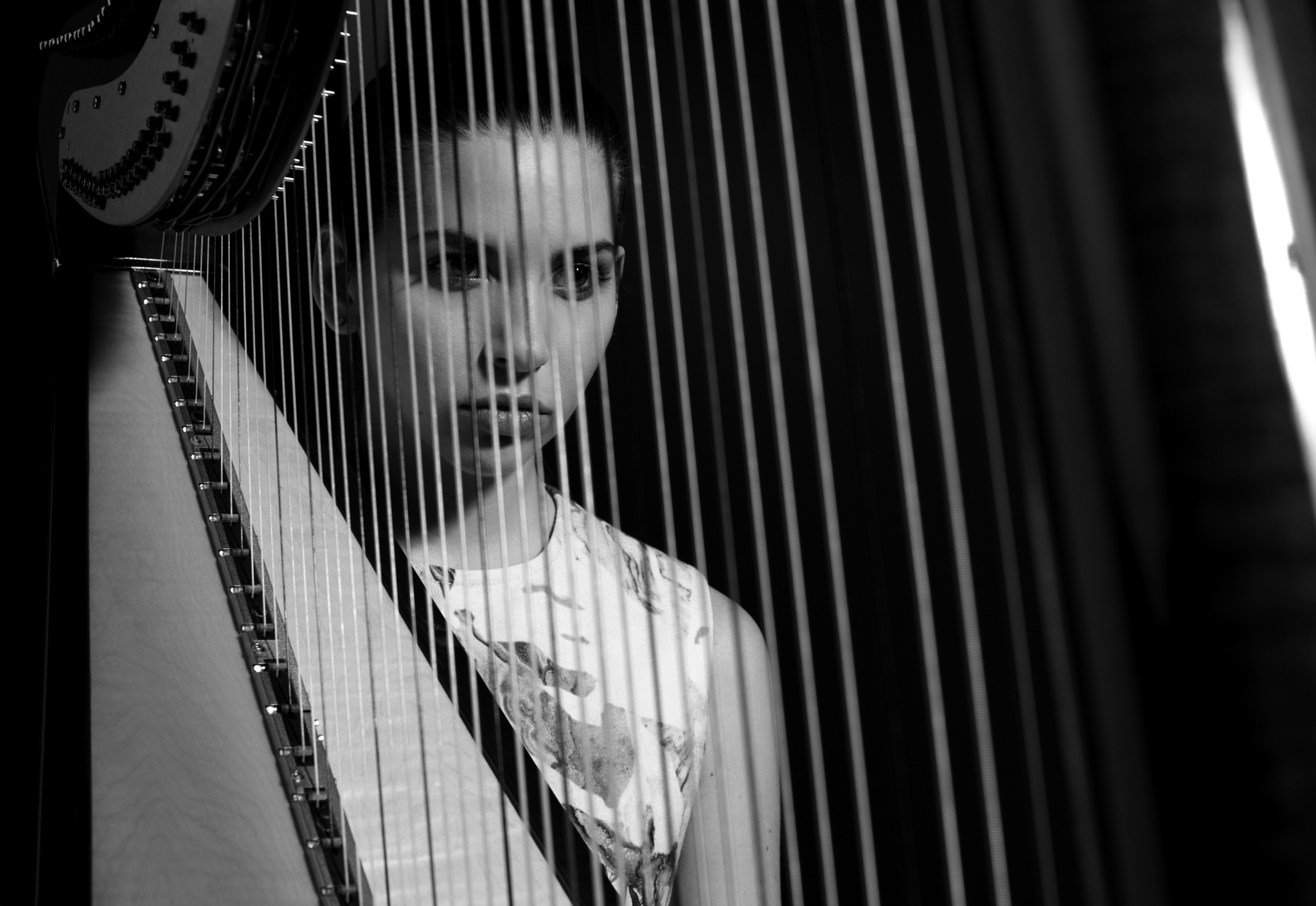 See and Be Seen | Harp Column